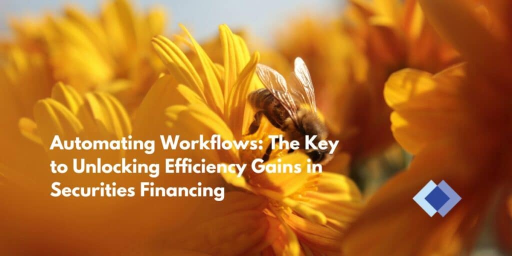 Wematch.Live | Tailored Matching and Workflow Tools